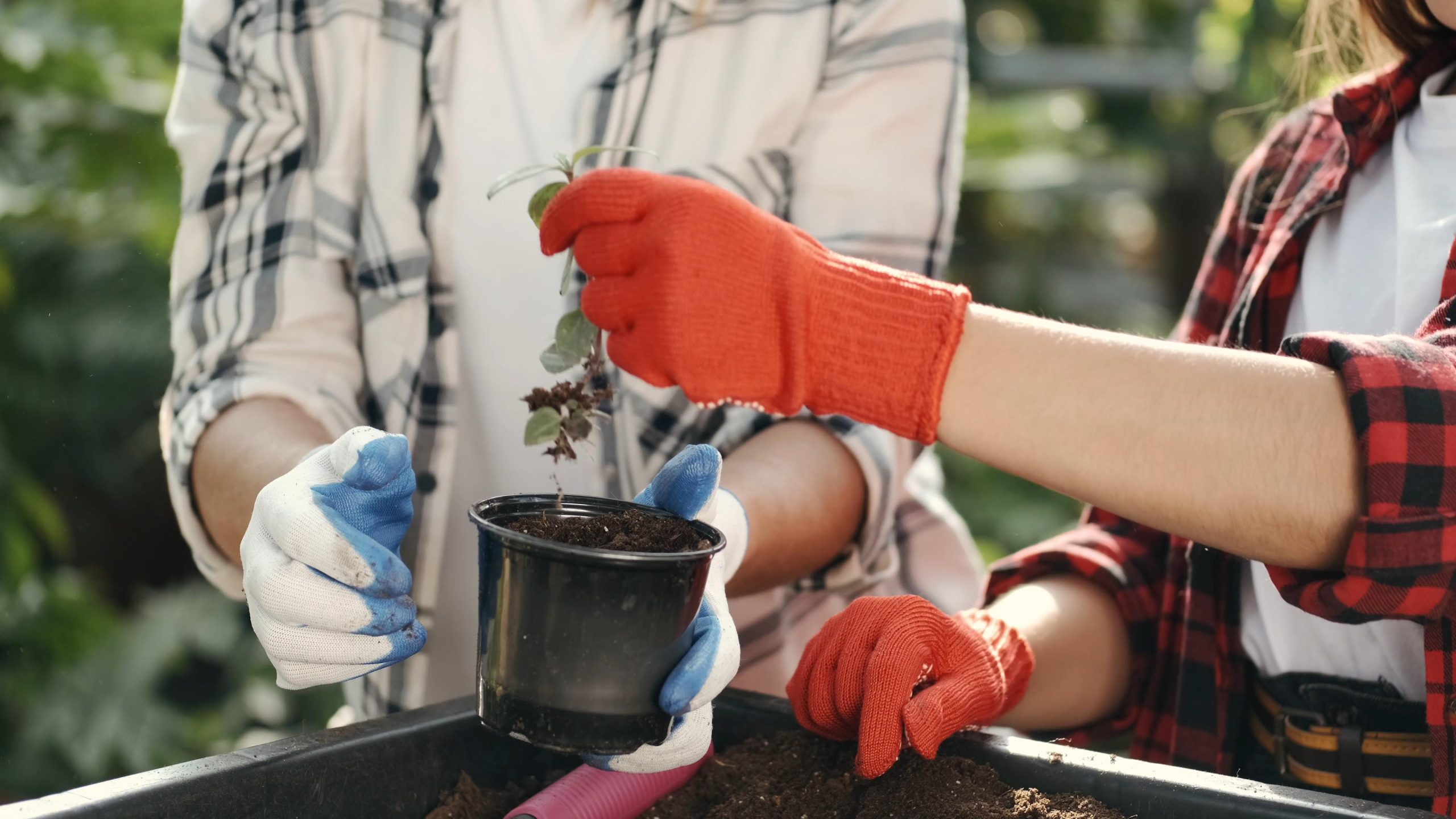 Newfields Group – Together, We Shape The Future